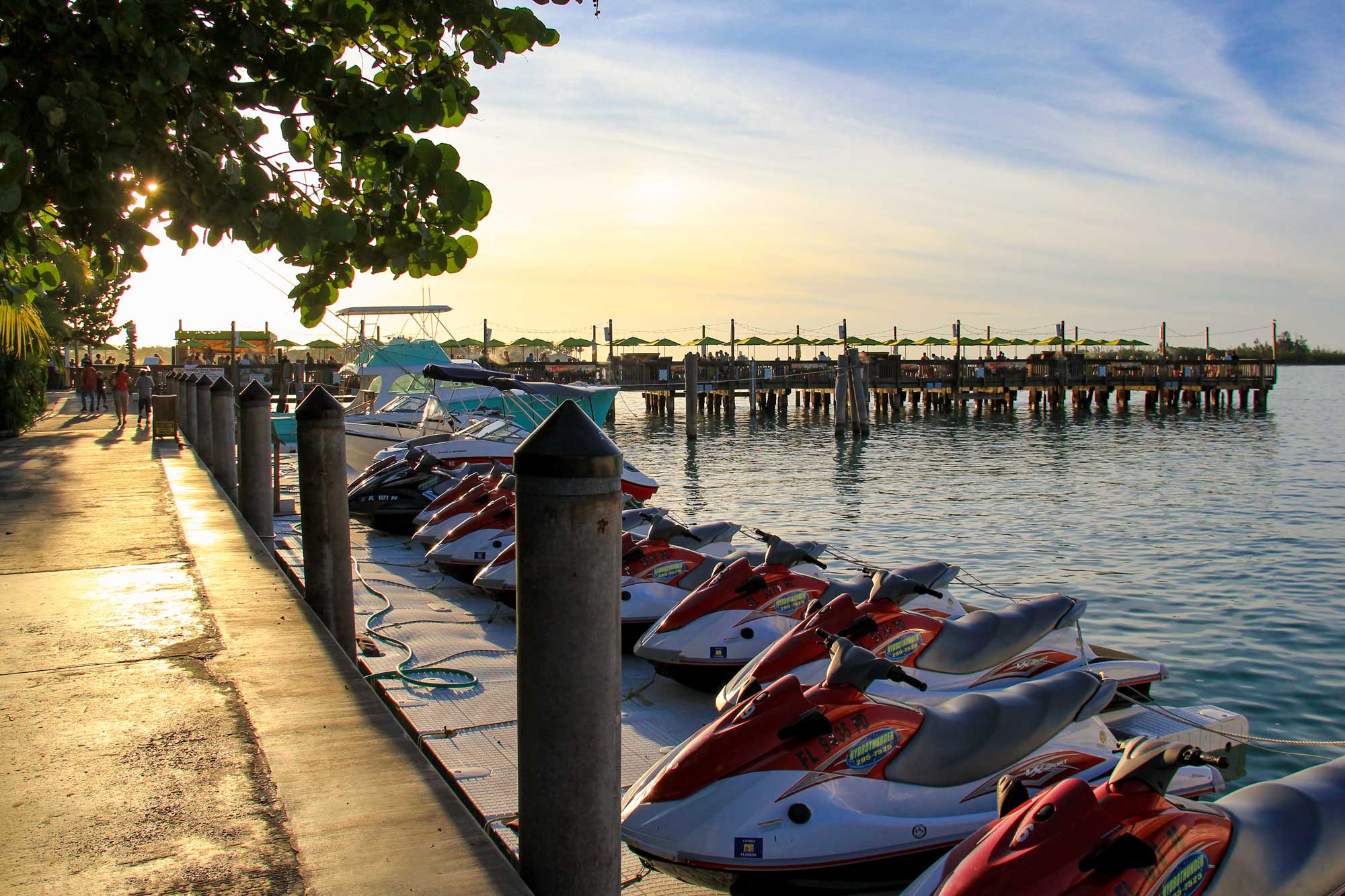 Nature and history lover’s guide to Key West - Curious Wanderess