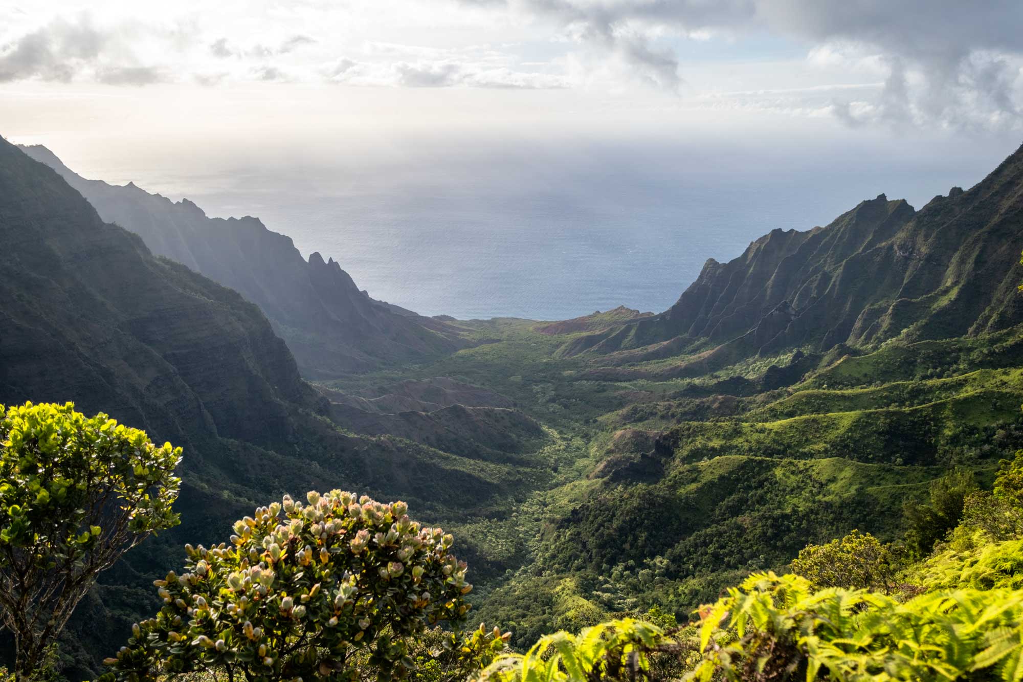 Hiking in Kauai: 7 short trails for first-timers - Curious Wanderess