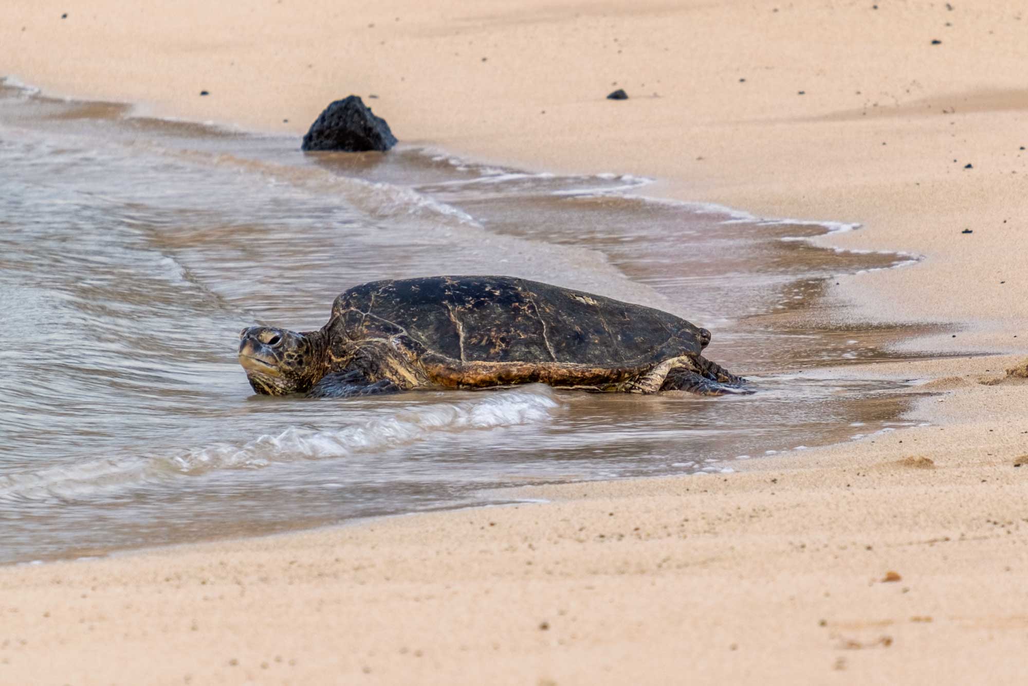 Kauai guide to an ultimate tropical getaway - Curious Wanderess